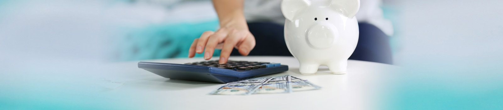 Share Draft/Checking - Michigan Educational CU